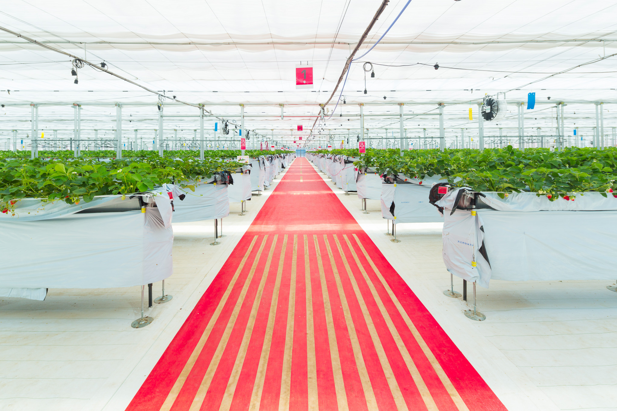 JAL Group and PowerX Enter Strategic Partnership on Environmental Business - Newsroom - PowerX, Inc.